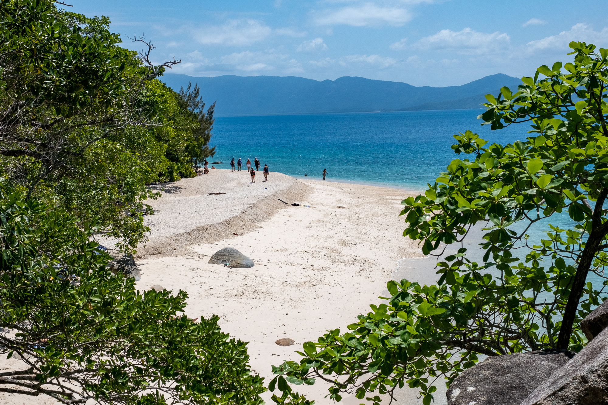 Cairns: Turtles in the Tropics – Images & Moments